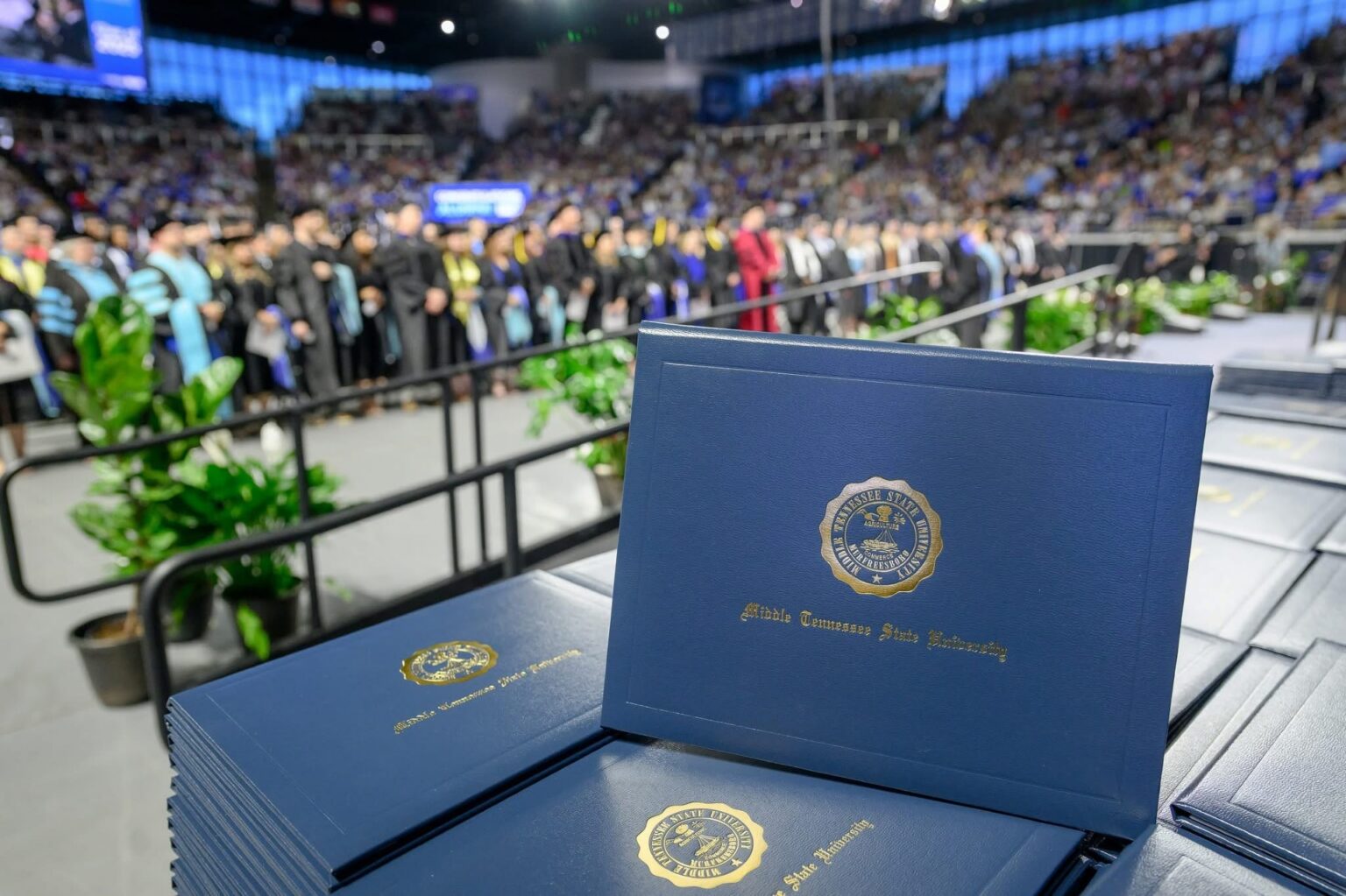 MTSU Curriculum Resources